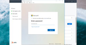 So downloaden und installieren Sie die Poly Lens Desktop App So ...